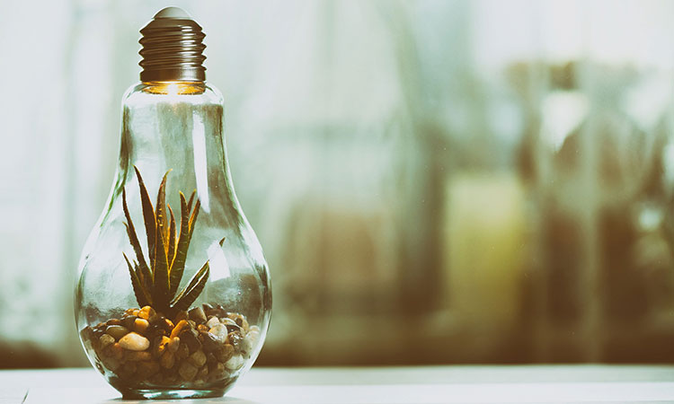 ODR: An Environmental Alternative | BarTalk